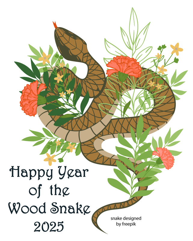 NM 2025 60 Day Legislative Session: Year of the Wood Snake - NMSAAM